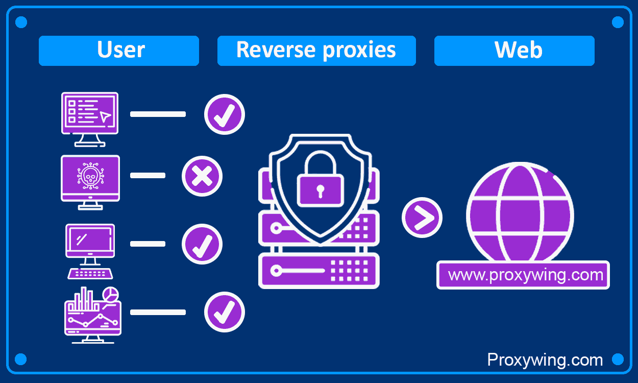Reverse Proxy Guide: Benefits, Use Cases & Setup