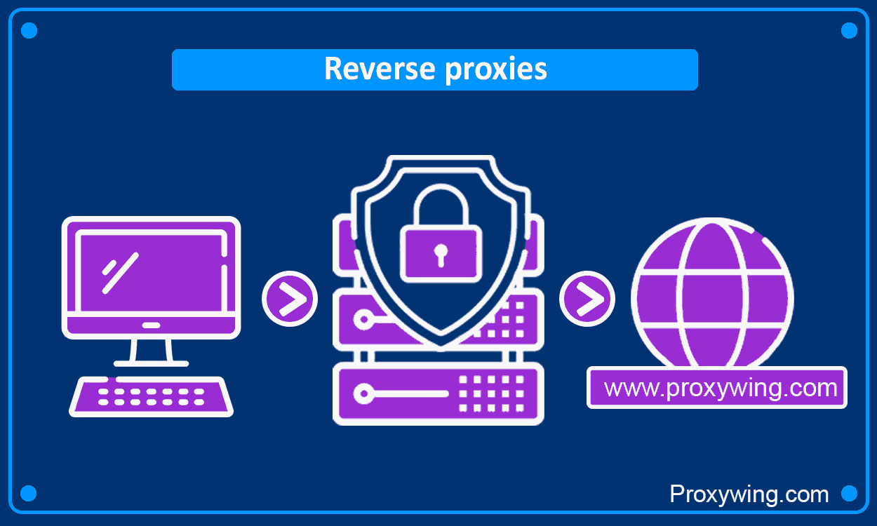 Forward Proxy vs Reverse Proxy: Key Differences & Examples