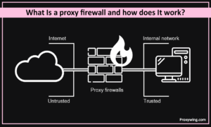 What Is a Proxy Firewall? Definition, Function & Use Cases