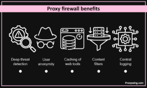 What Is a Proxy Firewall? Definition, Function & Use Cases