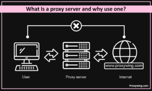 How to Configure Proxy Server Settings for Your Network (2025)