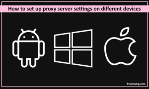 How to Configure Proxy Server Settings for Your Network (2025)