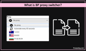 BP Proxy Switcher: The Ultimate 2025 Guide for Setup & Use