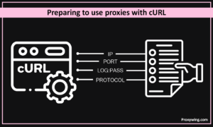 How to Use cURL with Proxy: Full Setup for HTTP & SOCKS