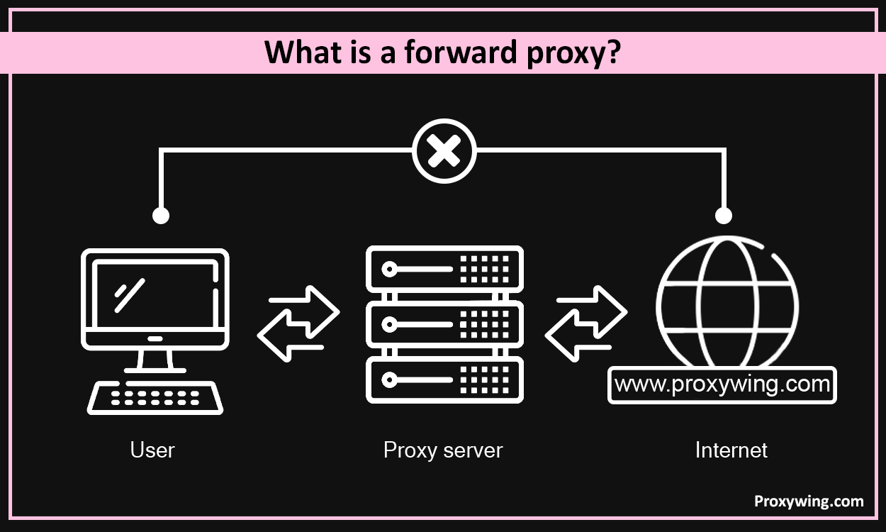 Forward Proxies Explained: A Complete Beginner Guide