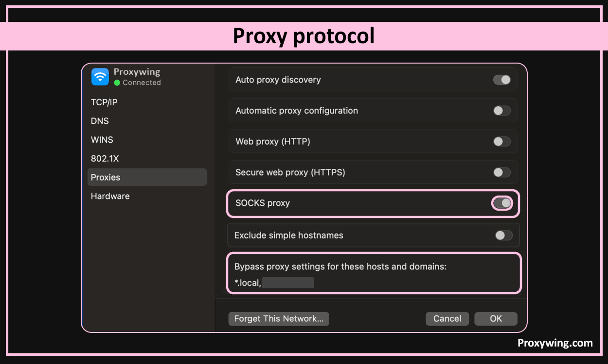 Safari Proxy Settings: Configure, Disable & Fix Proxy Issues (Mac & iPhone)